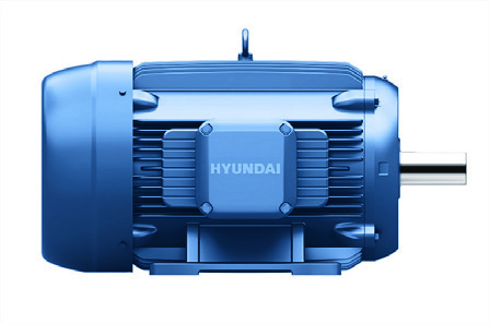 현대일렉트릭 45kW 전동기 - HD현대일렉트릭 전동기를 중심으로 산업용 전동기 국내 납품 및 해외 수출을 전문으로 합니다 ...