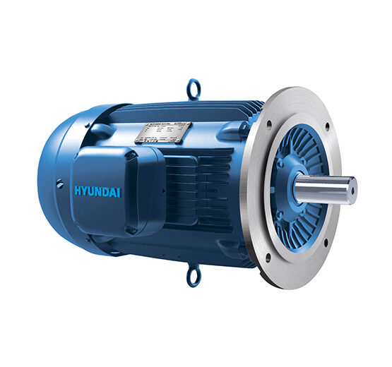 Hyundai Electric Motor 45KW (60HP) - 현대일렉트릭모터 전문기업 - HYUNDAI ELECTRIC ...